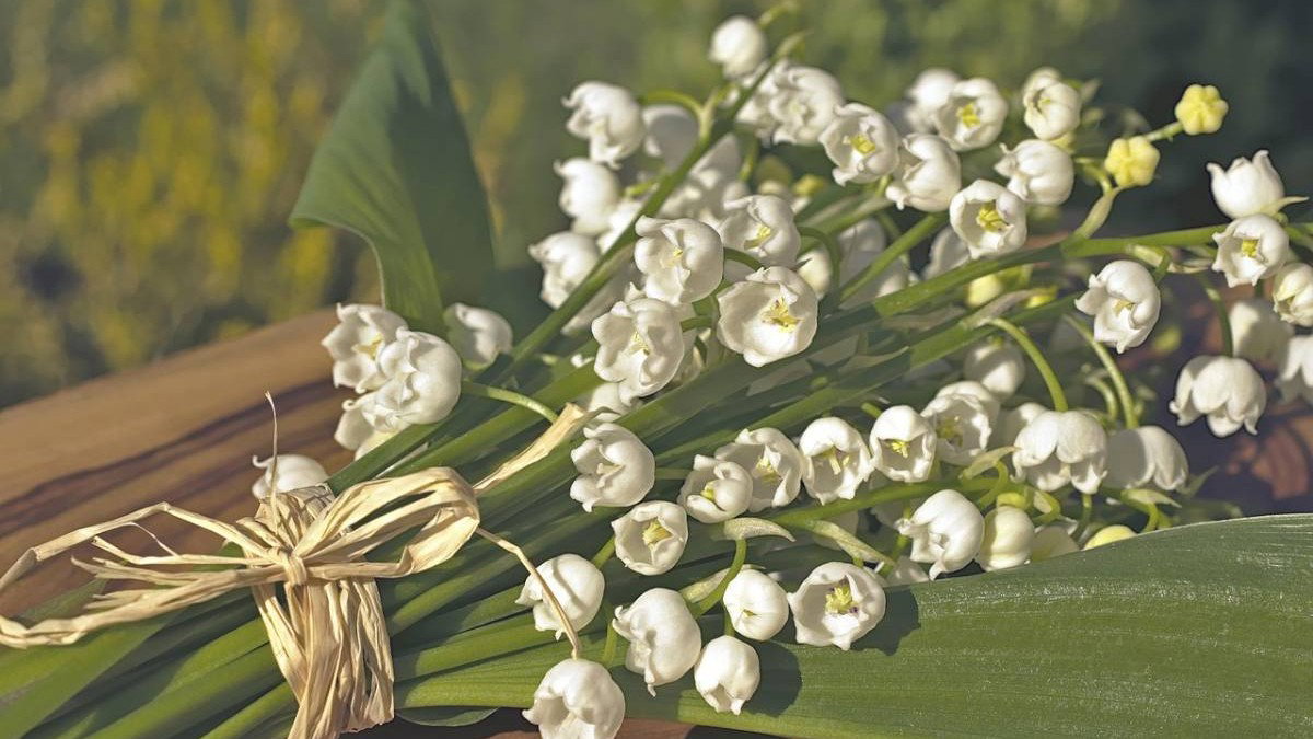 1er Mai : origines, traditions et symboles de la Fête du Travail