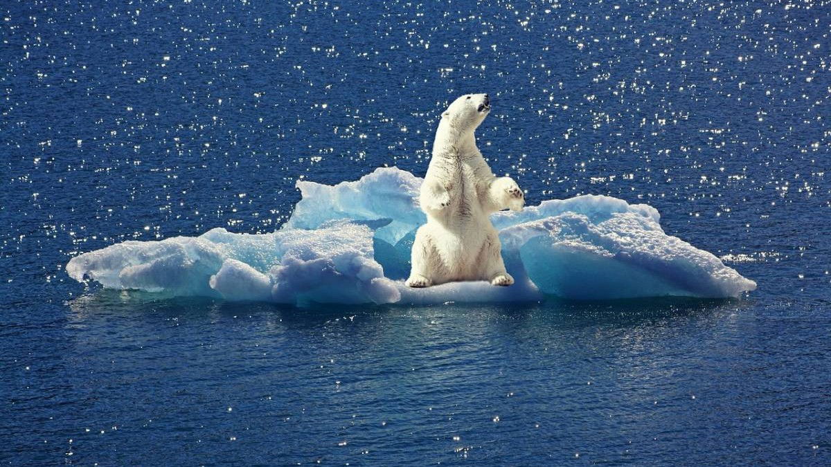 Jean Jouzel, Masson-Delmotte & Cassou, ces climatologues engagés