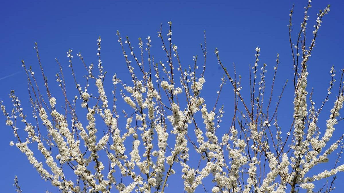 10 idées qui vous font du bien au printemps