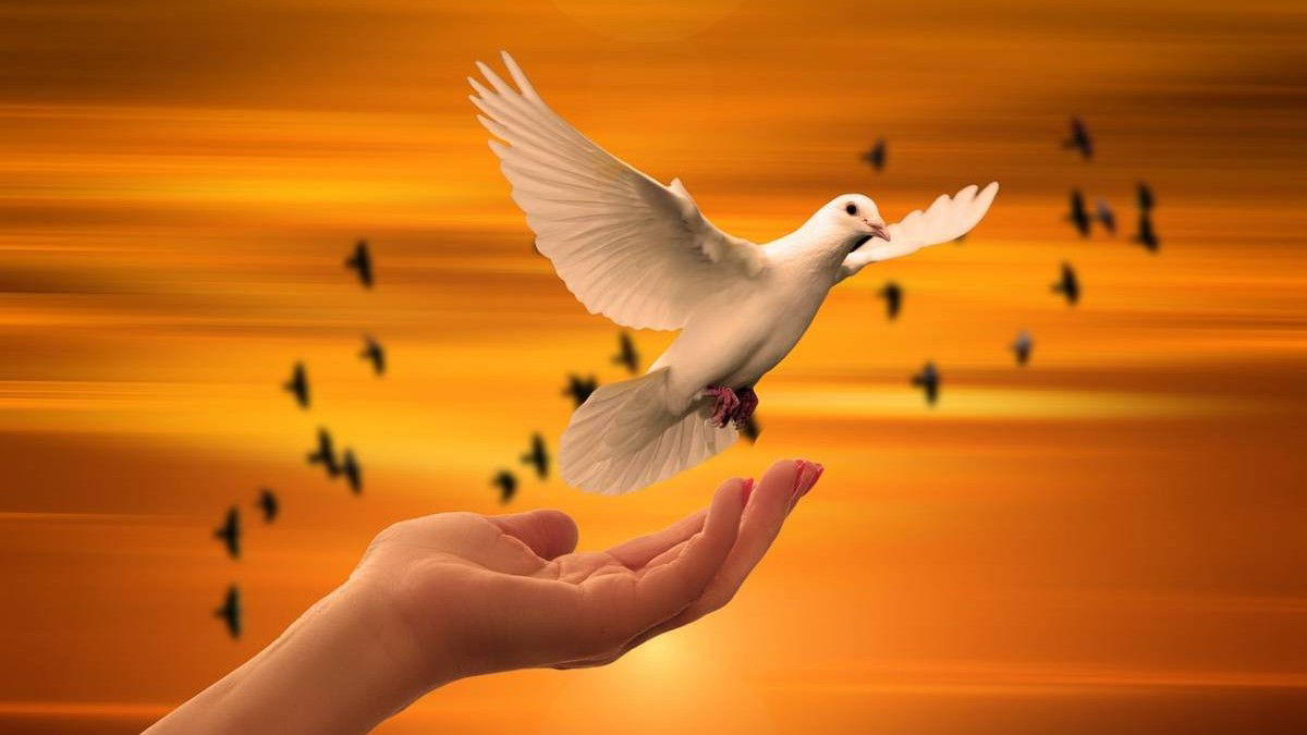 Messages de paix et d'espoir pour la Journée de la Paix