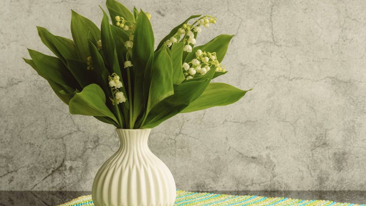 Quiz 1er mai : testez vos connaissances sur la fête du travail et ses ...