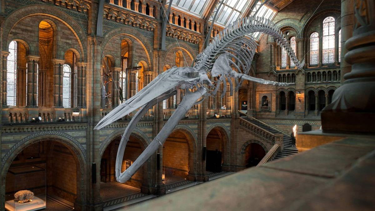 920+ citations sur l'Histoire... ou sur les histoires