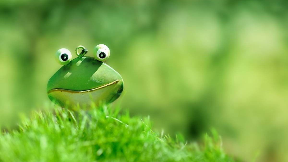 Nabil Alami : L'optimisme doit labourer le sol du...